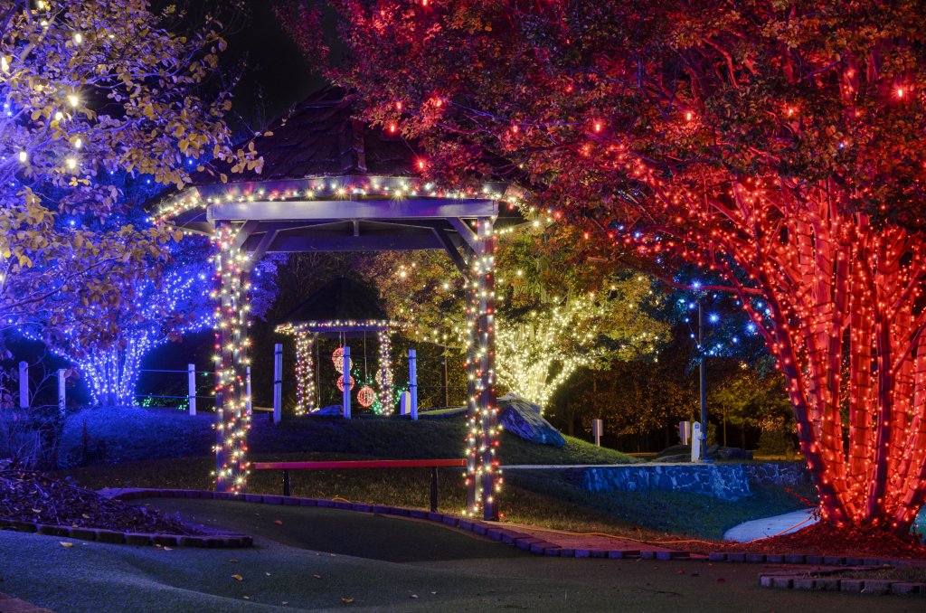 Alexandria's Hidden Gems: Winter Wonderland Spots for Business ...