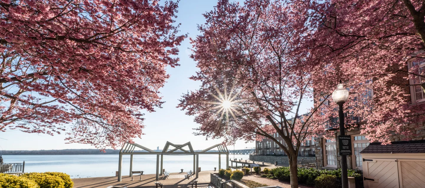 Welcome Spring Early: Embrace Alexandria’s Outdoor Activities and ...